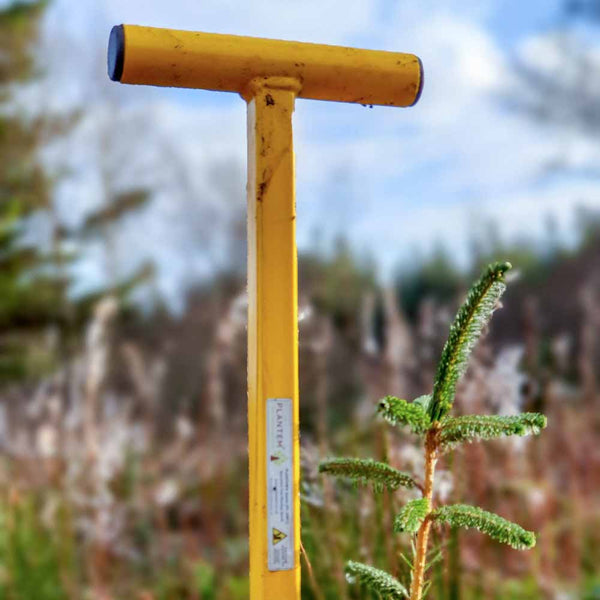 PLANTEM® Spear - Specialist Tree Planting Spade – PLANTEM® by Marshy ...